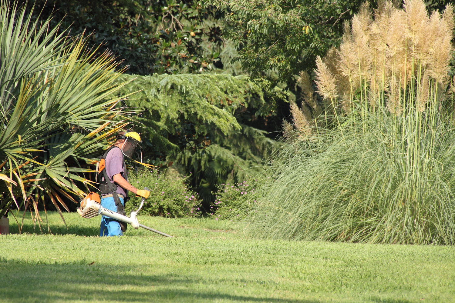 Débroussaillage - Les Grimpeurs de l'Ouest - Arboriste Grimpeur Vendée